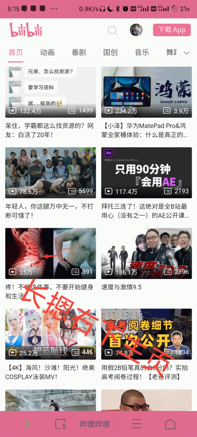 Bearli (bearli) - 路过图床 (English)