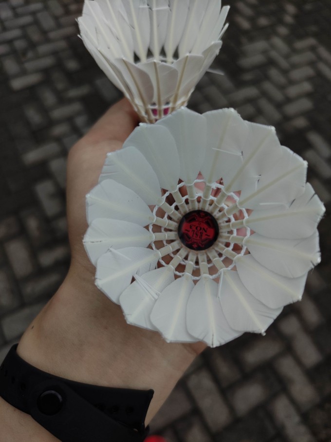 Microcone (microcone) - 路过图床