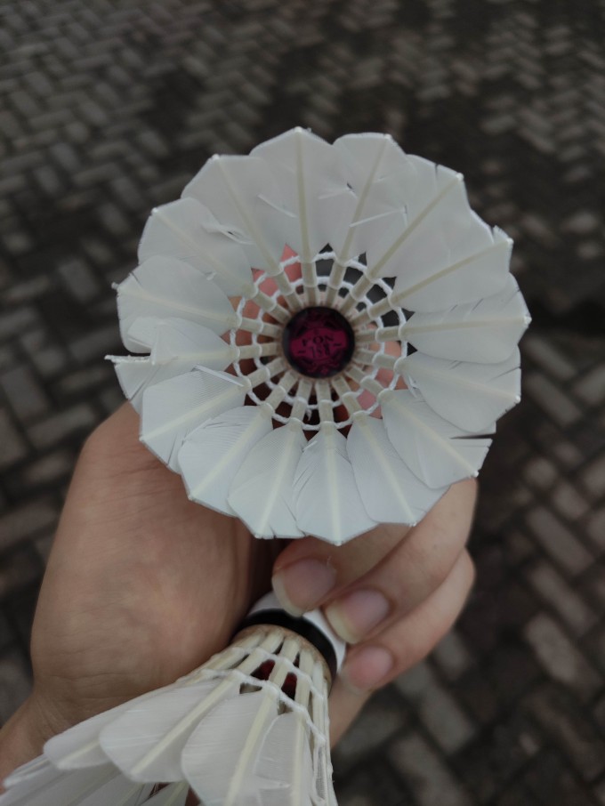 Microcone (microcone) - 路过图床